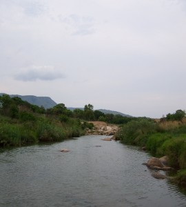 everything shall live where the river flows; we need to be absolute for ...