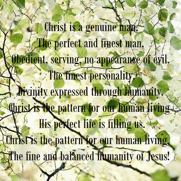 The Lord Jesus Worked in the Father's Name and He Sought the Father's Will