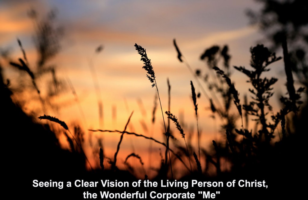 Seeing a Clear Vision of the Living Person of Christ, the Wonderful ...