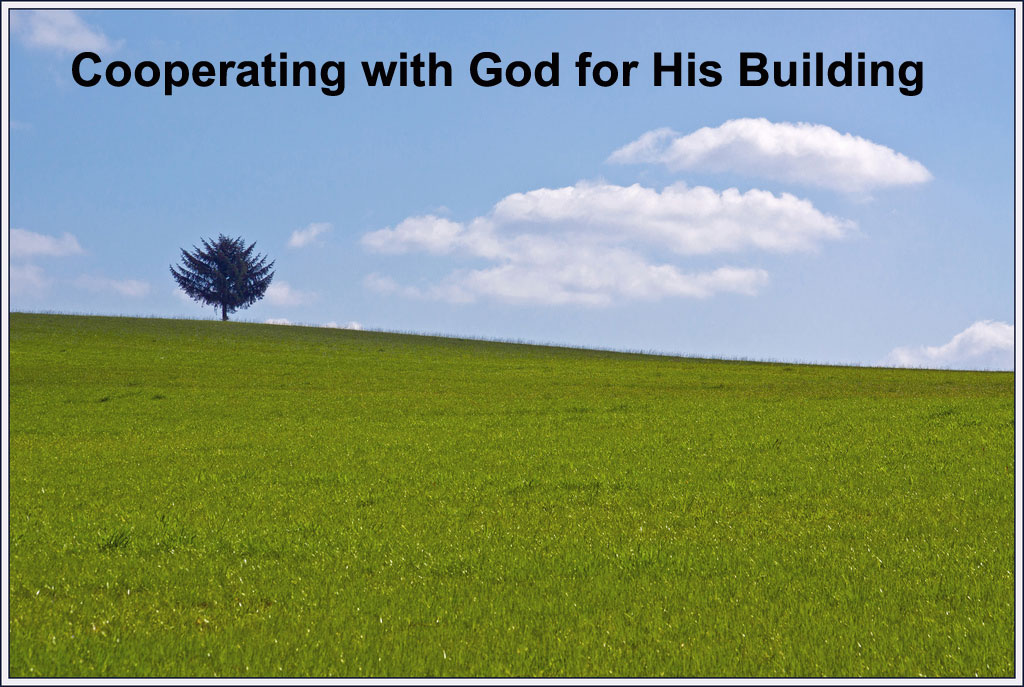 The Bible is a Building Manual, and We Can Cooperate with God for His ...