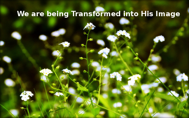 Being Transformed by Enjoying the Bountiful Spirit and By Conversing ...