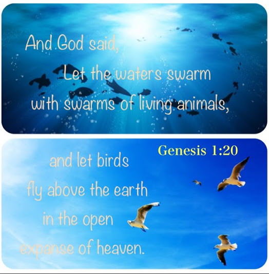 Advancing in our Growth in Life to Overcome Death and Transcend All ...