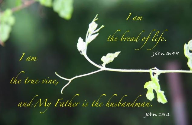 The Tree of Life Signifies Christ as Life to Man - He's So Available ...