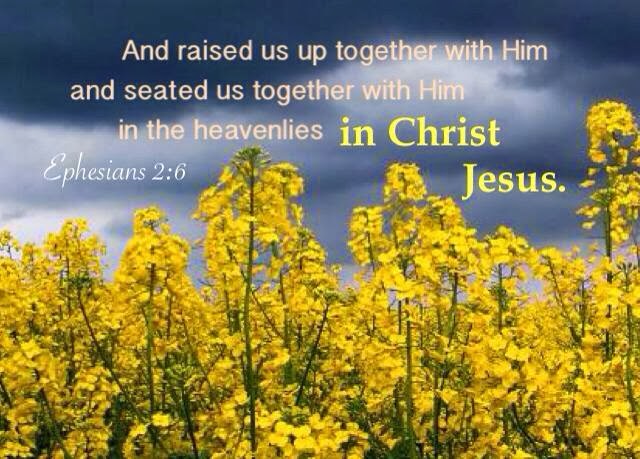 A Mature Believer is Full of the Life of Christ and he's in the ...