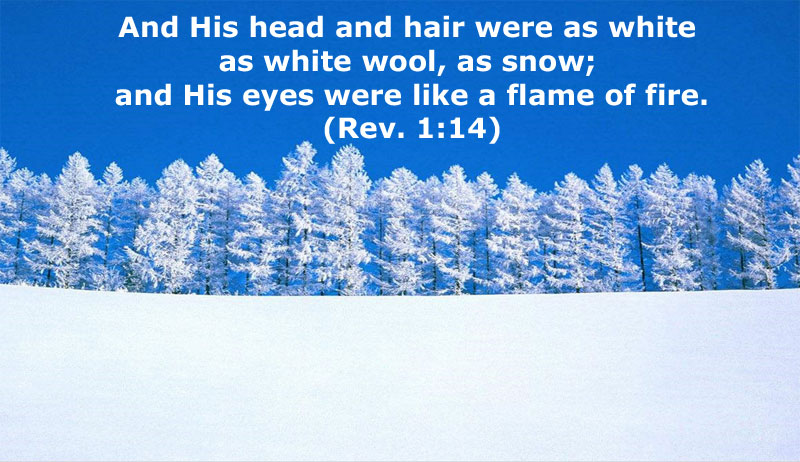 The Glorious Christ in Revelation 1: His Hair is White, His Eyes like a ...