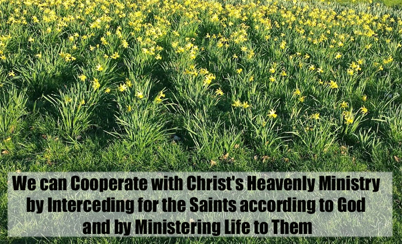 Knowing Christ as the High Priest in His Heavenly Ministry and ...