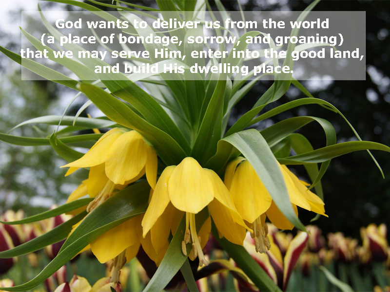 God wants to Deliver us from the World so that we Serve Him