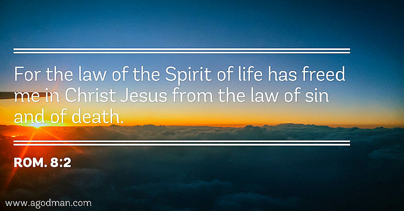 Our Spirit is a Mingled Spirit, and we need to Walk According to the ...