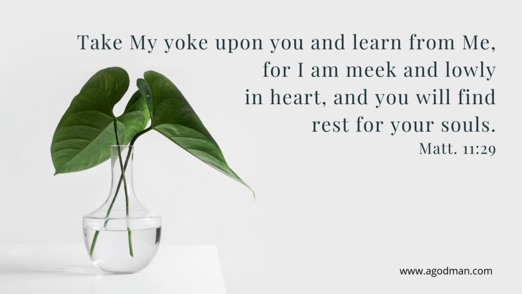 Christ is our Pattern for Living the Life of a God-man by Living in Spirit